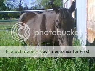 Training the Untrainable