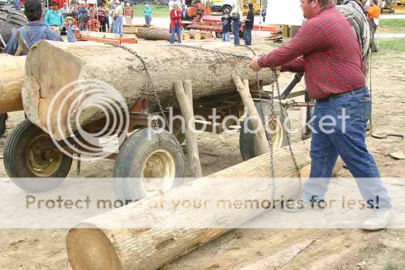 Tell me about selective tree thinning/loggin | Homesteading Forum
