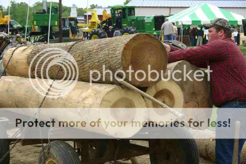 Tell me about selective tree thinning/loggin | Homesteading Forum