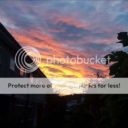 An App Guide to Editing Photos | Ms Sedgwick Does Design