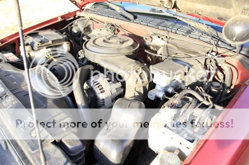 FS: '94 Chevy S10 4.3 5 Speed 4x4 | VW Vortex - Volkswagen Forum