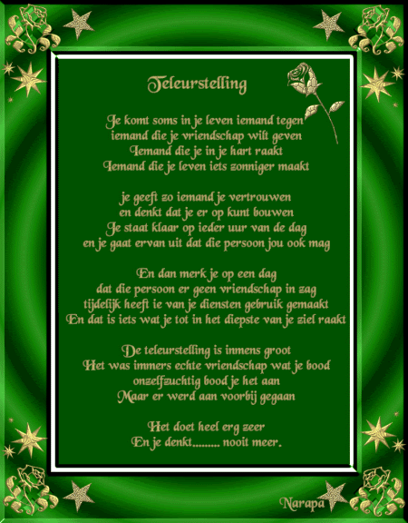 teleurstelling | rina