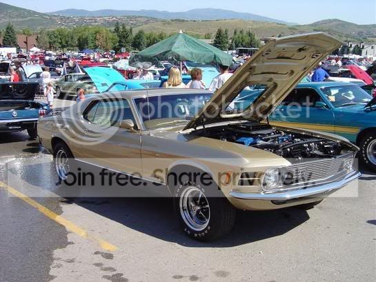 1969 champagne gold | Vintage Mustang Forums