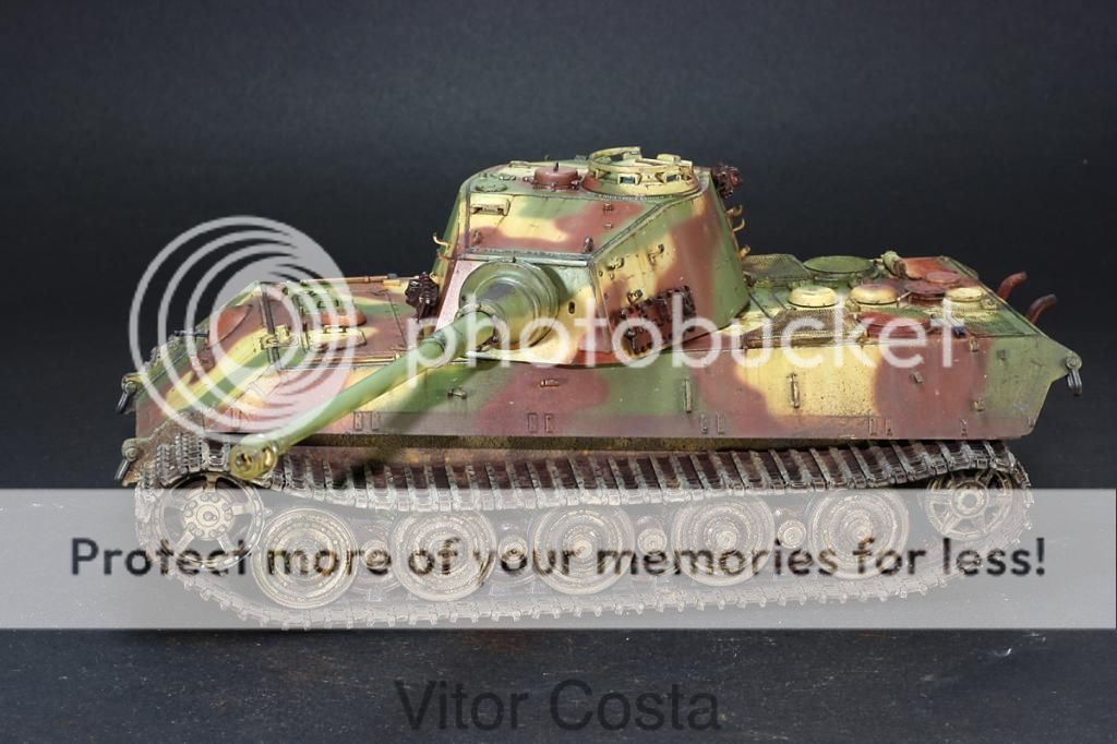 Big and bad! One "Royal" Tiger - Dragon King Tiger - Ready for ...