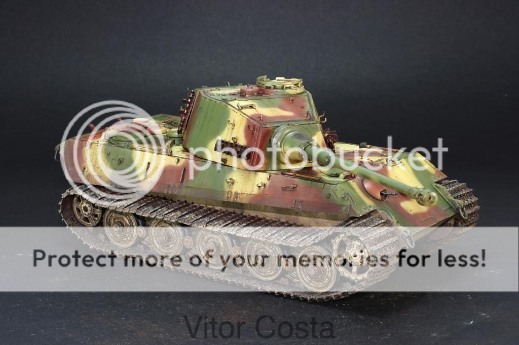 Big and bad! One "Royal" Tiger - Dragon King Tiger - Ready for ...