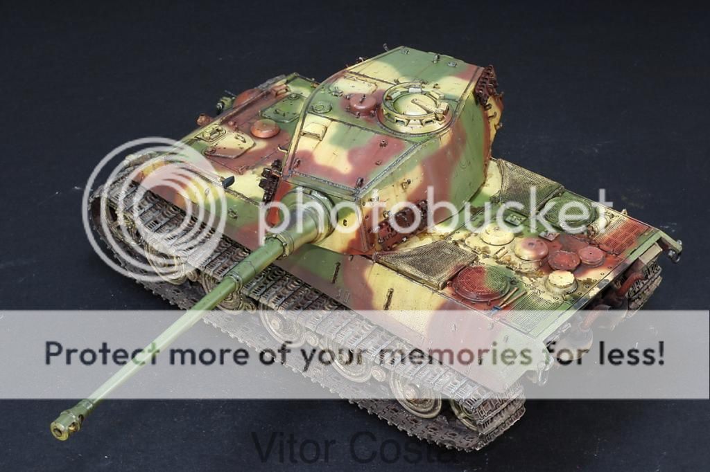 Big and bad! One "Royal" Tiger - Dragon King Tiger - Ready for ...