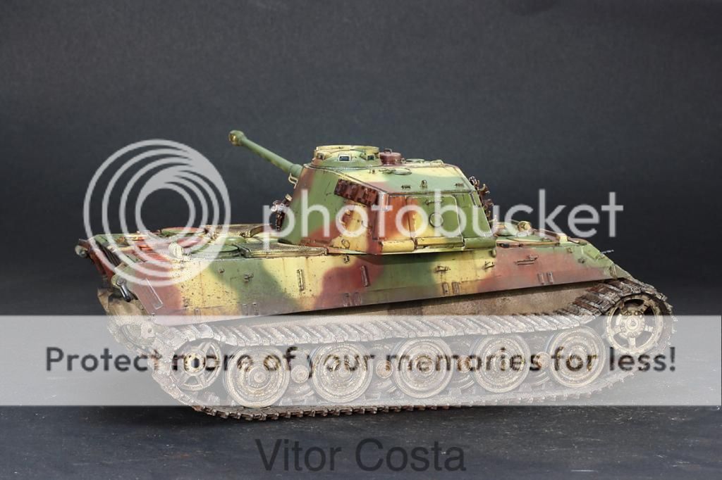 Big and bad! One "Royal" Tiger - Dragon King Tiger - Ready for ...