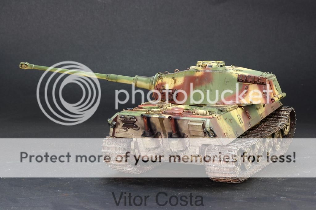 Big and bad! One "Royal" Tiger - Dragon King Tiger - Ready for ...