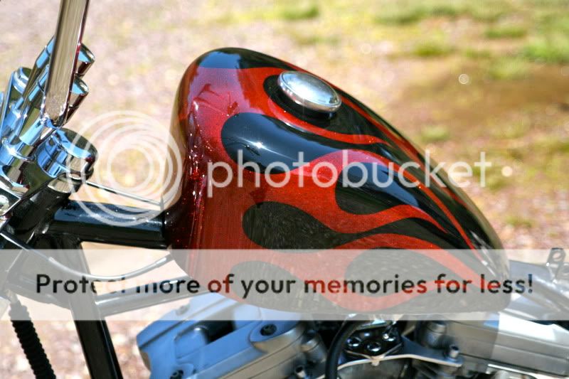 some paint by Cape Cod Choppers.... | Jockey Journal Forum